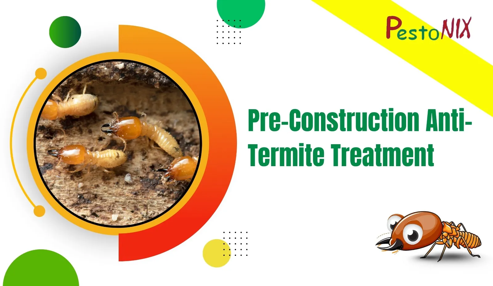 Anti-Termite Treatment: Procedure, Benefits & Chemicals