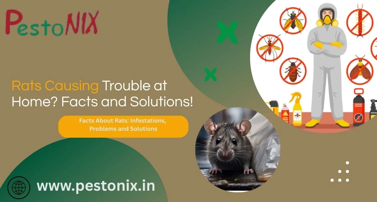 Best pest control company in Kolkata? Rodent extermination